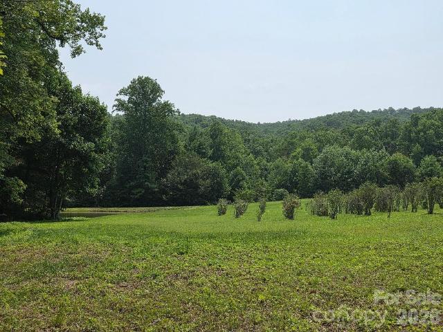 Lot 4 Appalachian Retreat None