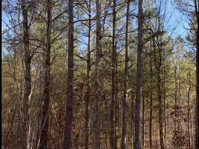 Lot 4 Array Dr, Hillsborough, NC 27278 | MLS #2408