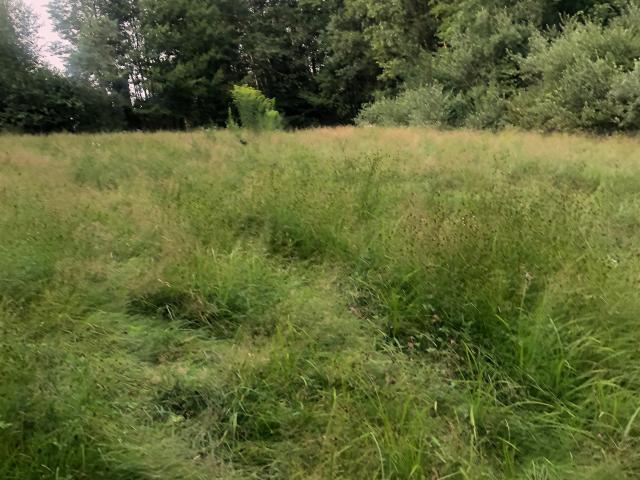 Lot 4 Belvedere Rd, Gilsum, NH 03448 | Compass