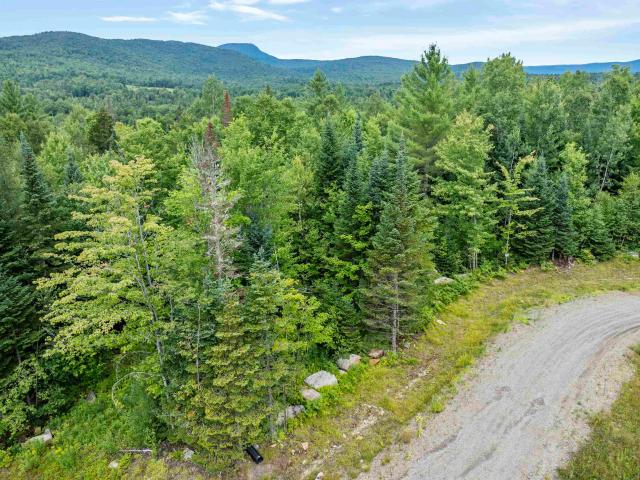 Lot 4 Bog Road