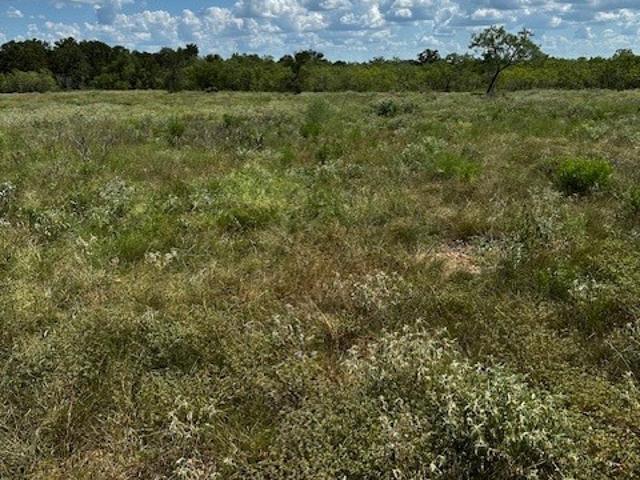 Lot 4 County Road 420, Waelder, TX 78959 | MLS #29140