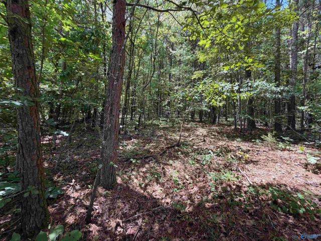 LOT 4 County Road 592