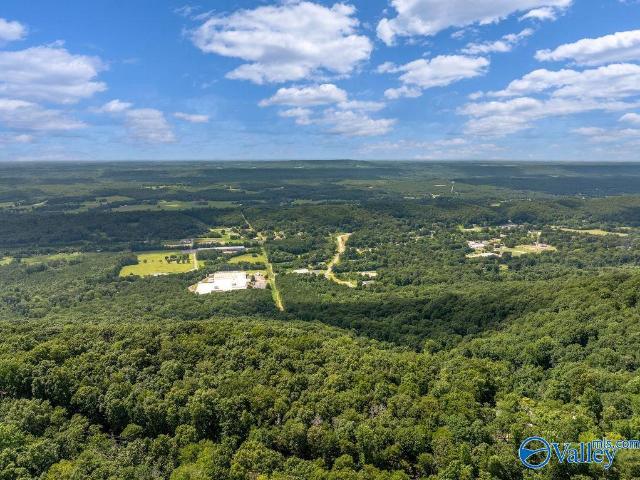 LOT 4 County Road 89