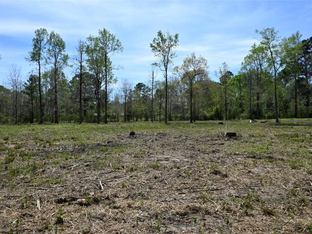 Lot 4 county road 2360