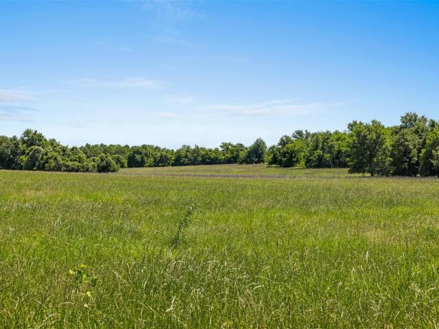 Lot 4 County Road 270
