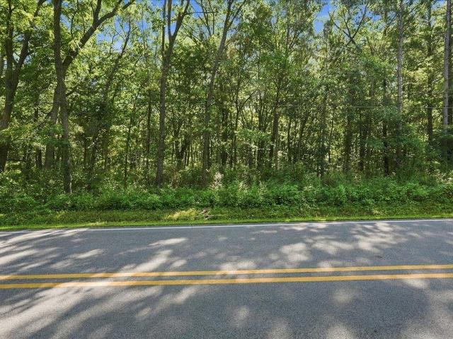 Lot 4 CSM 17038 Timber Lane