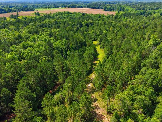 Lot #4 Crosby Clark Road