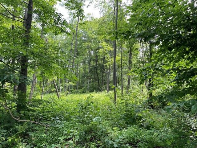 Lot 4 Cranberry Road