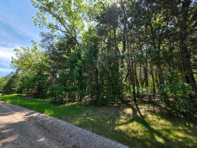Lot 4 Czech Court