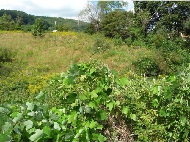 Lot 4 Daniel Boone Road