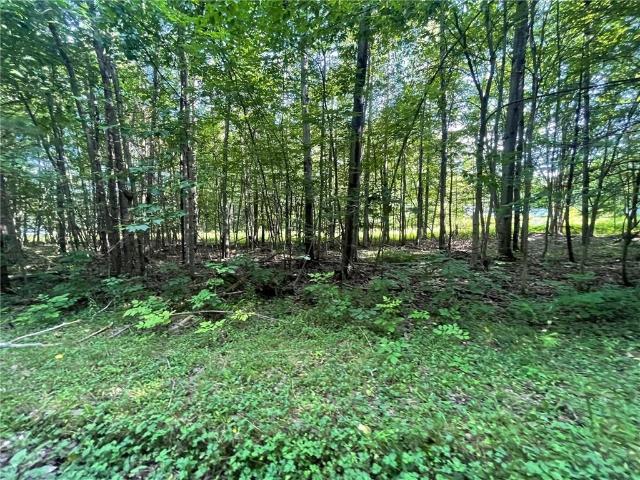 Lot 4 Danner Dr & Lot 15 Linda Ln, Union City, PA 16438 | MLS #1721 | Compass