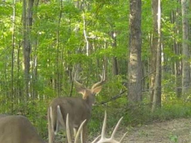 Lot #4 Deer Creek Road