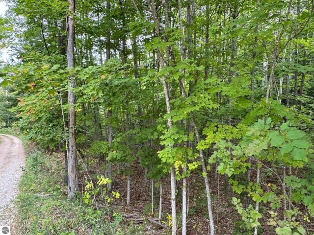 Lot 4 E Old Mountain Road