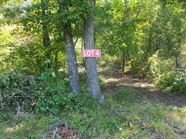 Lot 4 E River Rd, Grantsburg, WI 54840 | MLS #6814