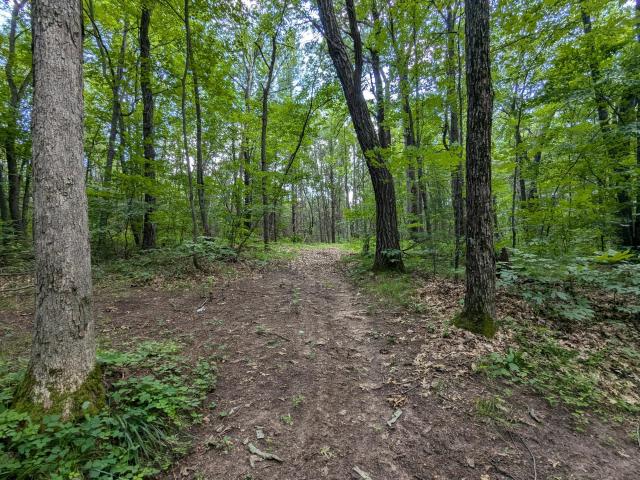 Lot 4 Fosmo, Webster, WI 54893 | MLS #7041