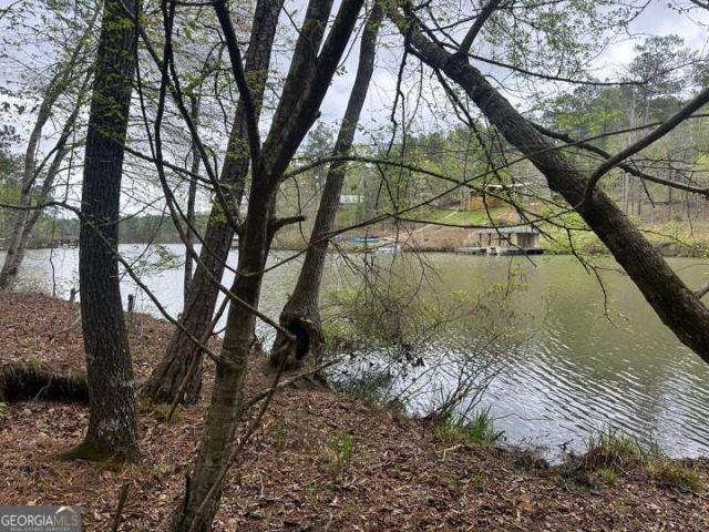 LOT #4 Frontier Shores Road
