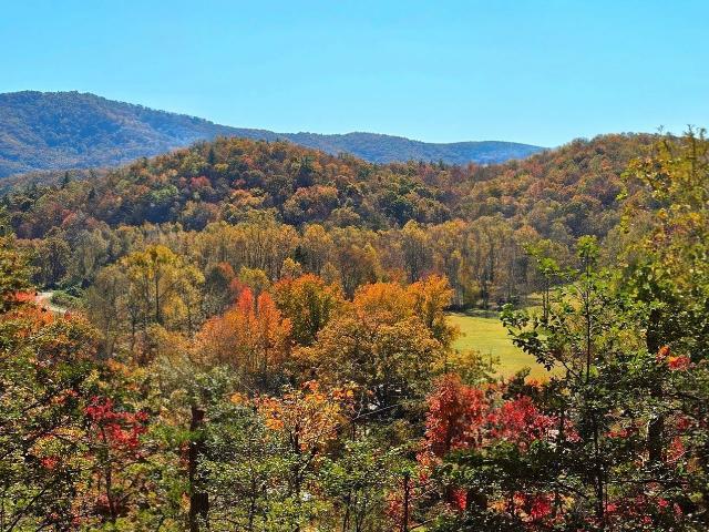 Lot 4 Gold Ridge Trail, Cherry Log, US, GA