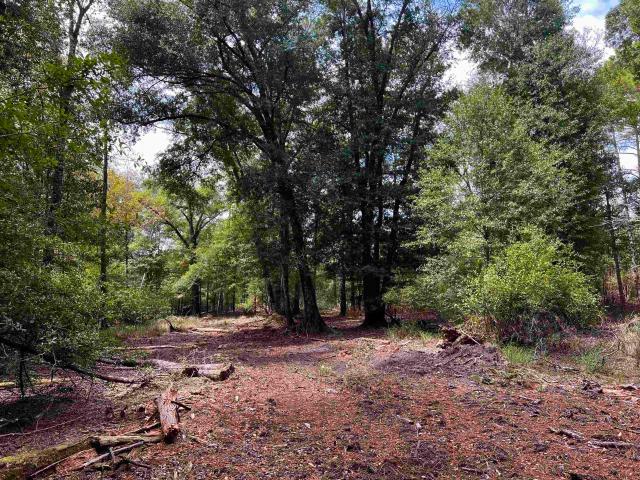Lot#4 Glory Rd, Tallahassee, FL 32310 | MLS #390976