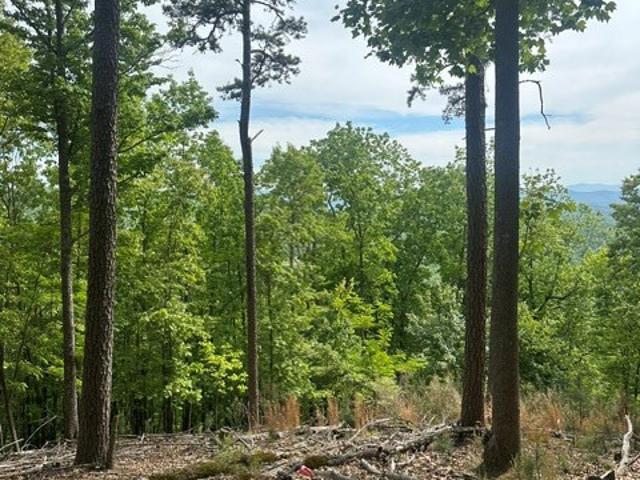 Lot 4 Hampton Knob