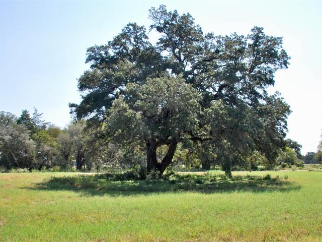 Lot 4 Harvell Lane