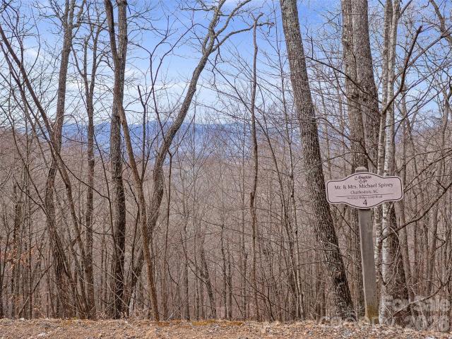 Lot 4 Heritage Ridge Rd, Burnsville, NC 28714 | MLS #4339 | Compass