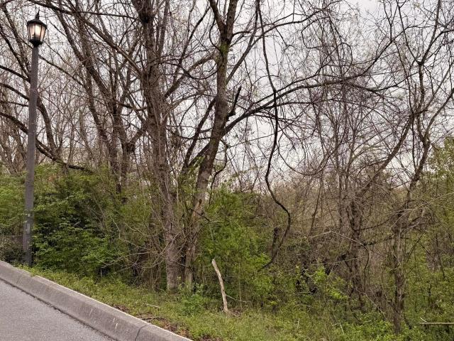 Lot 4 Hideaway Ridge Circle