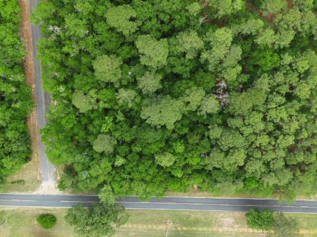 Lot 4 Holiness Church Road