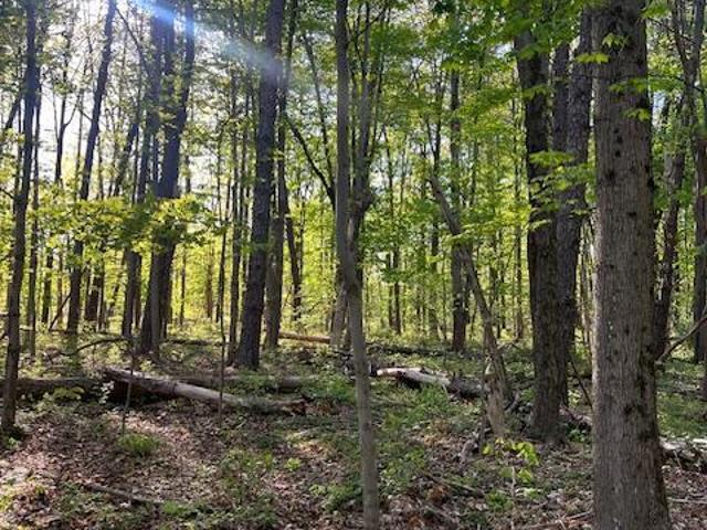 Lot 4 iron cave lane