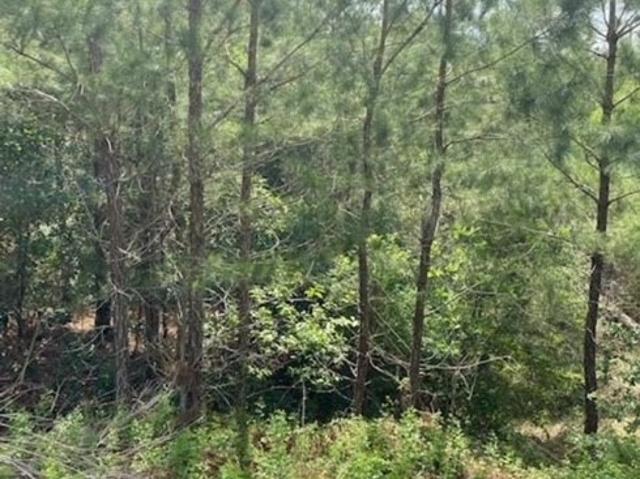 Lot 4 Kainalu Ln, Bastrop, TX 78602 | MLS #8871