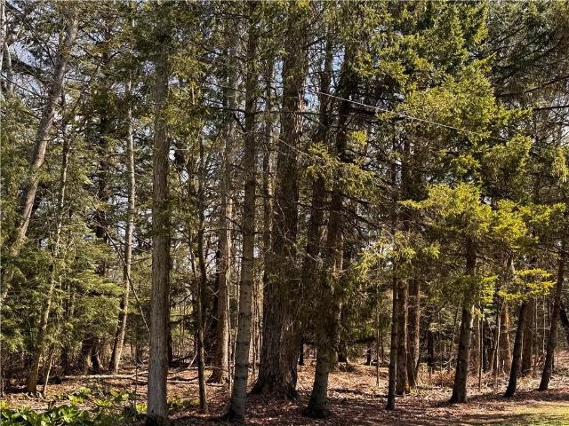 Lot 4 lake & danner road
