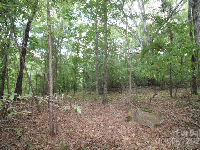 Lot 4 Lake Wylie Dr, Rock Hill, SC 29732 | MLS #4289