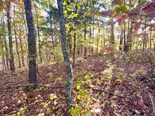 Lot#4 Lakewood Ln, Barnett, MO 65011 | MLS #3574 | Compass