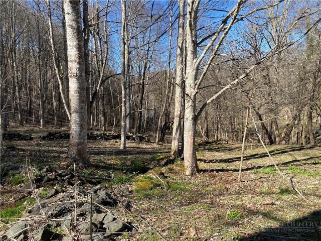 Lot 4 Larkspur Trail