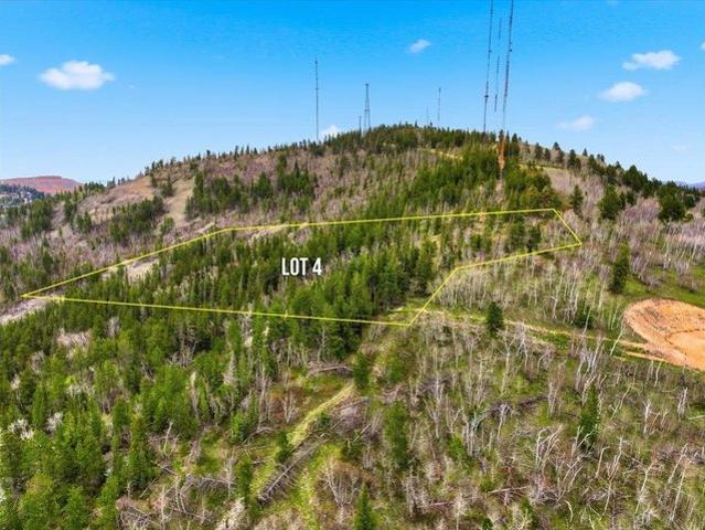 Lot 4, Lead, SD 57754