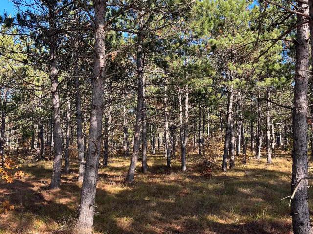 Lot 4 Luna Lane