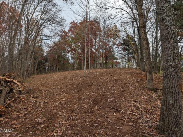 Lot 4 Midway Road lot 4