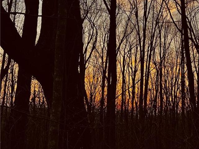Lot 4 Mount Mincie Rd, Murrayville, GA 30564 | MLS #7731 | Compass