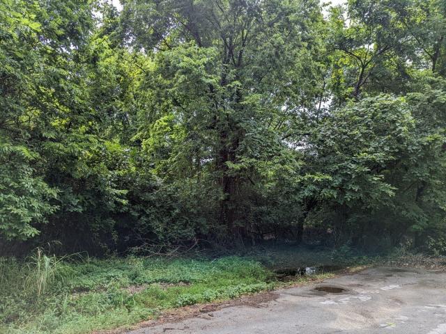 Lot 4 N Fullbright Avenue