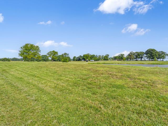 Lot #4 N Ginger Lane
