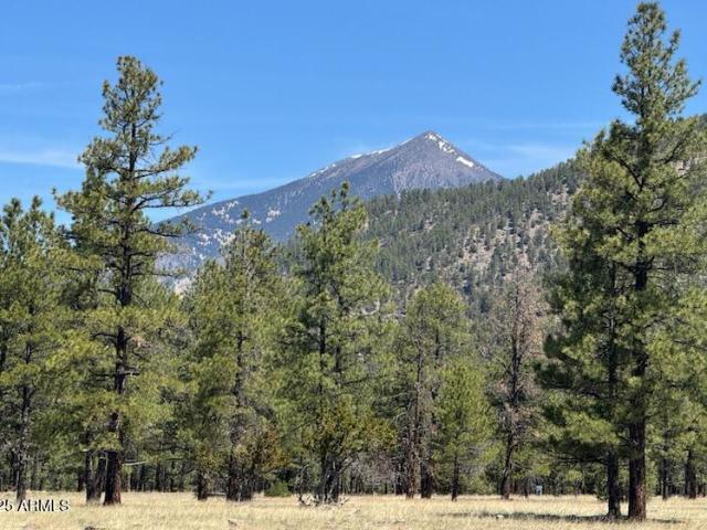 Lot 4 N Quintana Drive # 4
