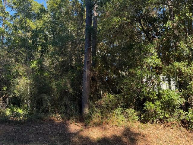 Lot 4 Nelson St, Navarre, FL 32566 | MLS #991625 | Compass