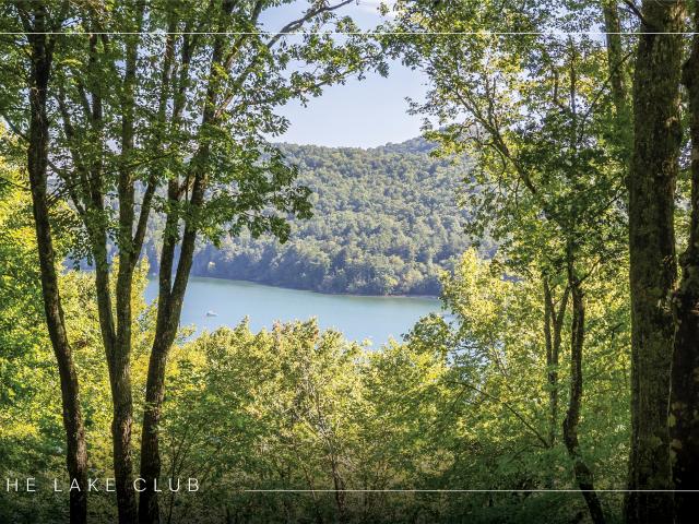 Lot 4 Old Forester Trail