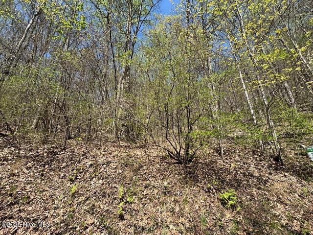 Lot 4 Outlook Road