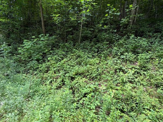 Lot 4 Outlook Road