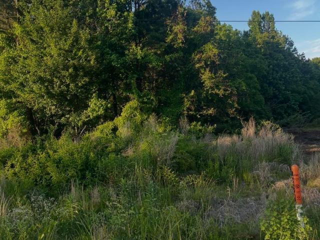 Lot 4 Parkwood