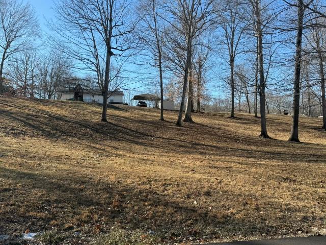 Lot 4 Penny Lane