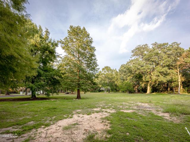Lot 4 Pointe Aux Chenes