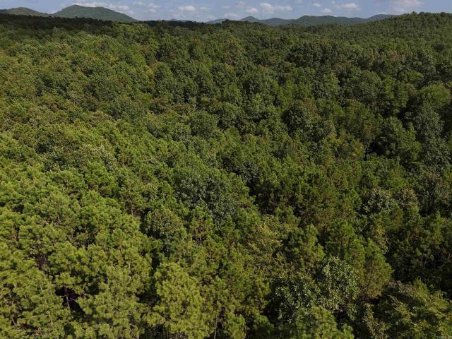 Lot 4 Polk Road 78