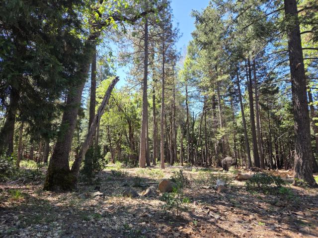 Lot 4 Ritts Mill Road