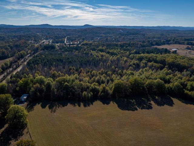 Lot 4 Roland Woods, HWY 300